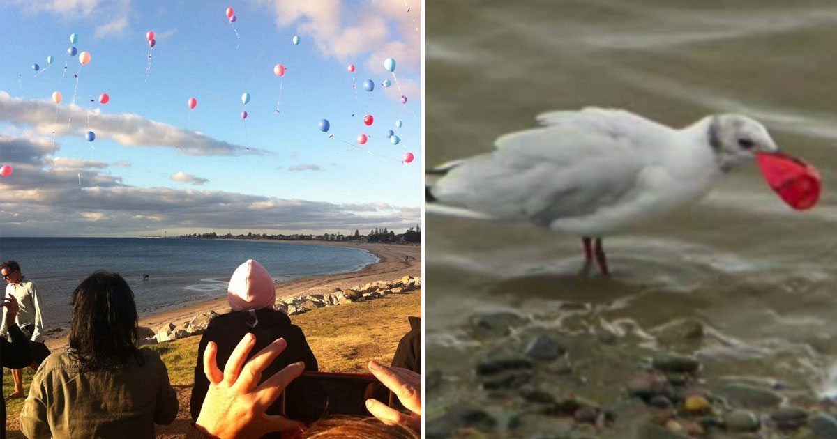 Releasing Balloons In The Air Kills Marine Wildlife