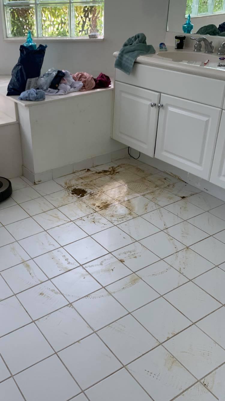 Man discovers his roomba has "cleaned up" his dog's poop