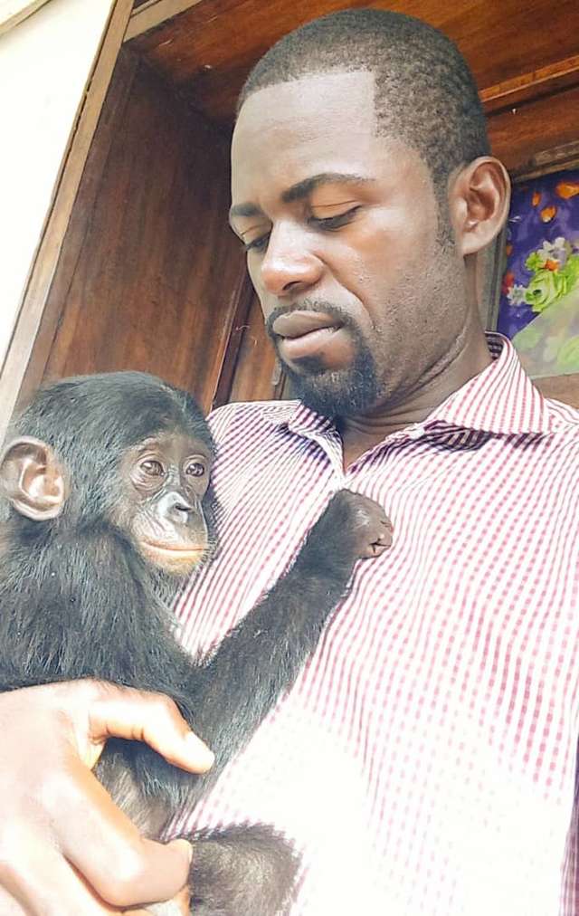 Baby bonobo can't stop smiling at man who rescued her
