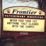 35 Hilarious vet signs that were made for cat lovers
