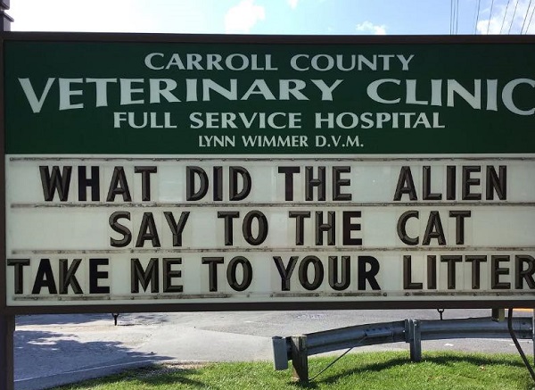 35 Hilarious vet signs that were made for cat lovers