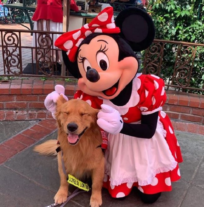 Dog meets her favorite Disney character and refuses to let go