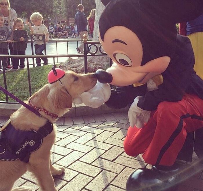 Dog meets her favorite Disney character and refuses to let go