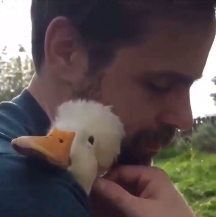 45 Adorable ducks in their happiest and blessed moments