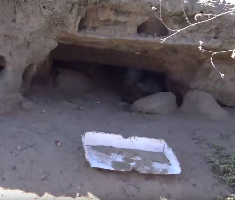 Dangerous Rescue Footage Of 9 Puppies Trapped 18 Feet Underground