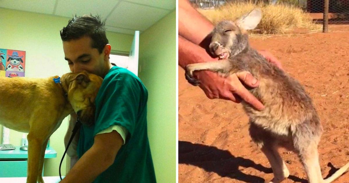 20 Times People Saved Animals And Were Thanked In Incredible Fashion