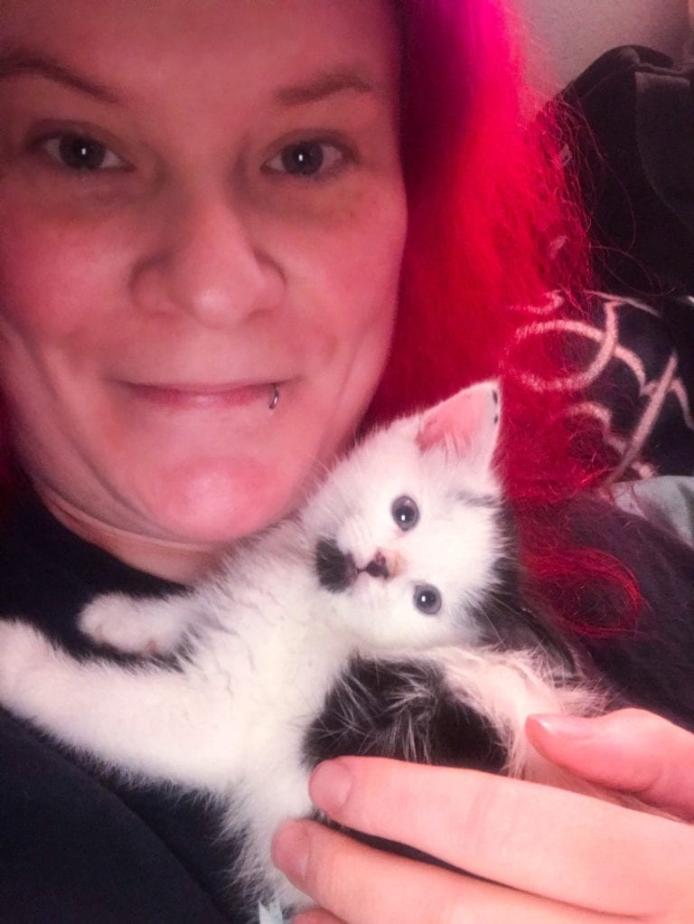 Foster kitten gives mom biggest smile during photoshoot, and the ...