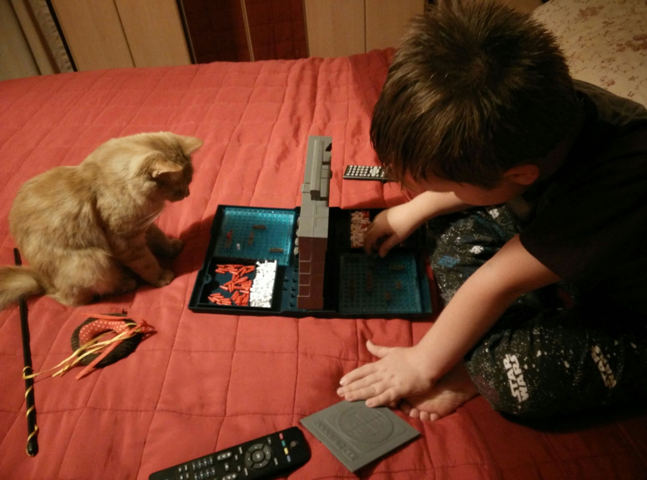 Divertidas Mascotas Actuando Como Humanos