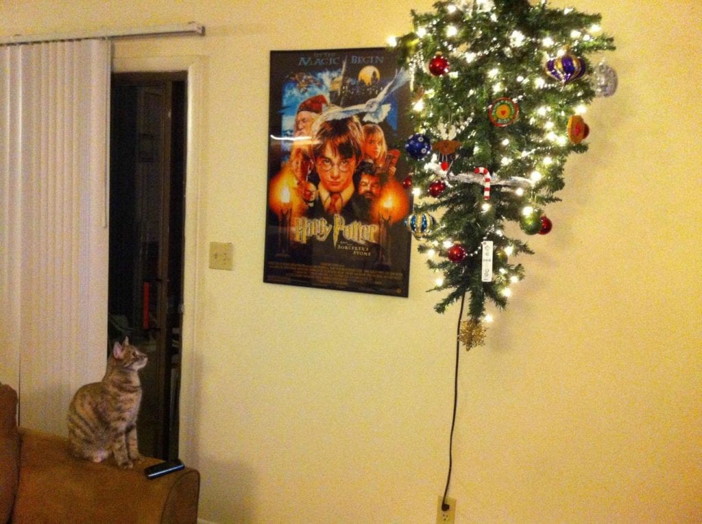 40 hilarious ways owners protect Christmas tree from pets