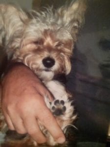 73 people holding tiny animals in their hands is cuteness overload