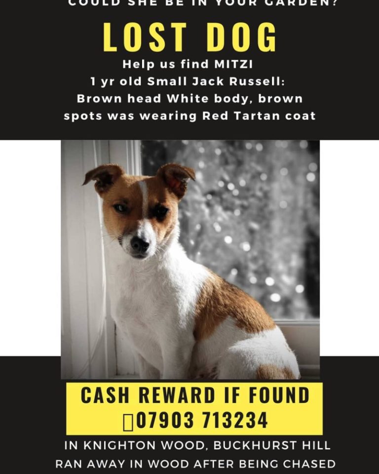 Man is overwhelmed after his dog is rescued from a foxhole