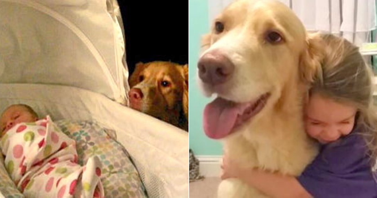 75 Kids And Dogs Adorably Growing Up Together