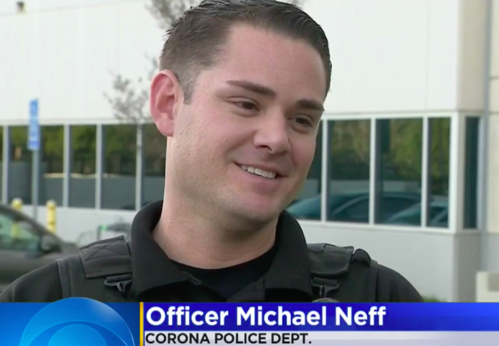 Man refuses to get out after high-speed highway chase – then police dog ...