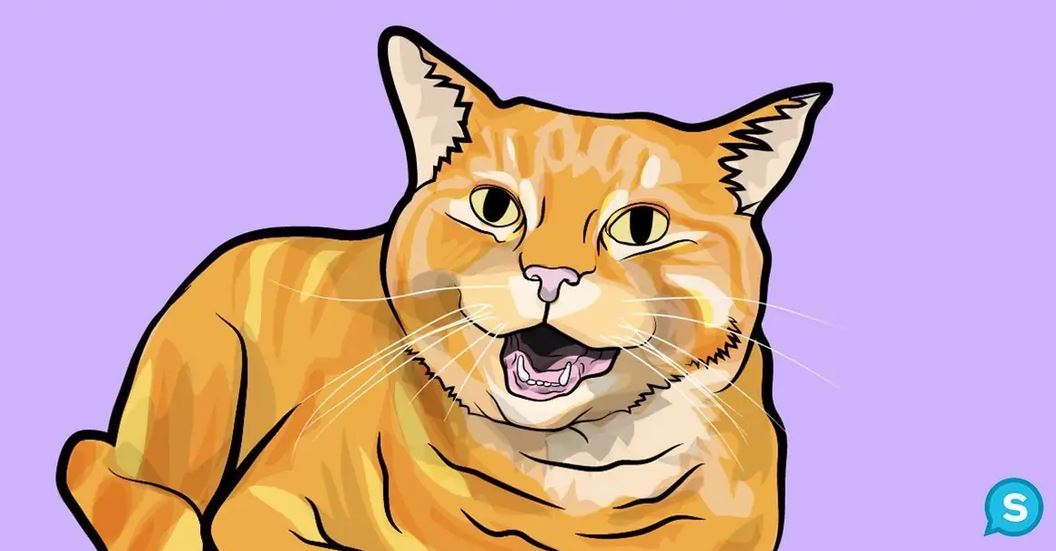 30 Sounds that cats make and what they mean