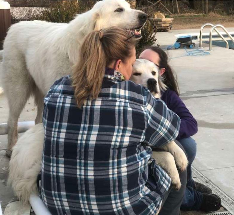 Owner & dog overcome with emotion when they find each other after tornado