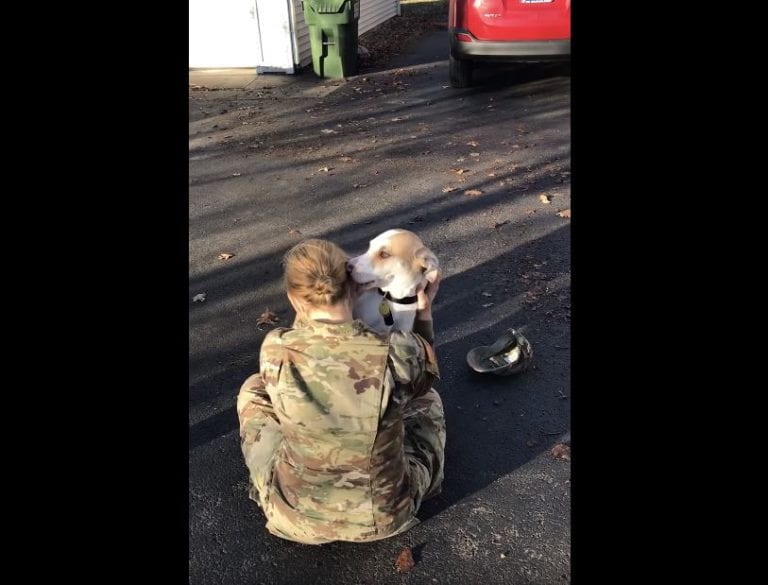 Soldier Mom Returns And Her Dog’s Joy Is Uncontainable