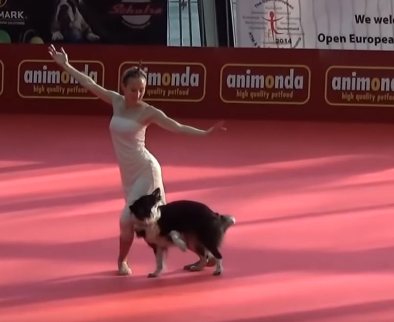 Woman And Dog Perform Touching Dance Together