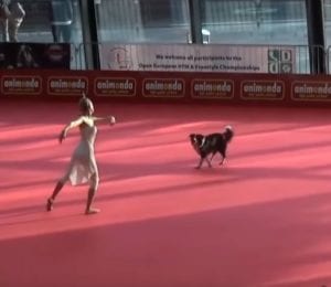 Woman And Dog Perform Touching Dance Together