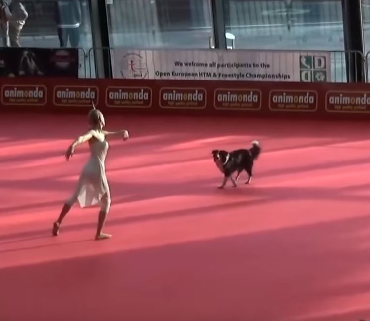 Woman And Dog Perform Touching Dance Together