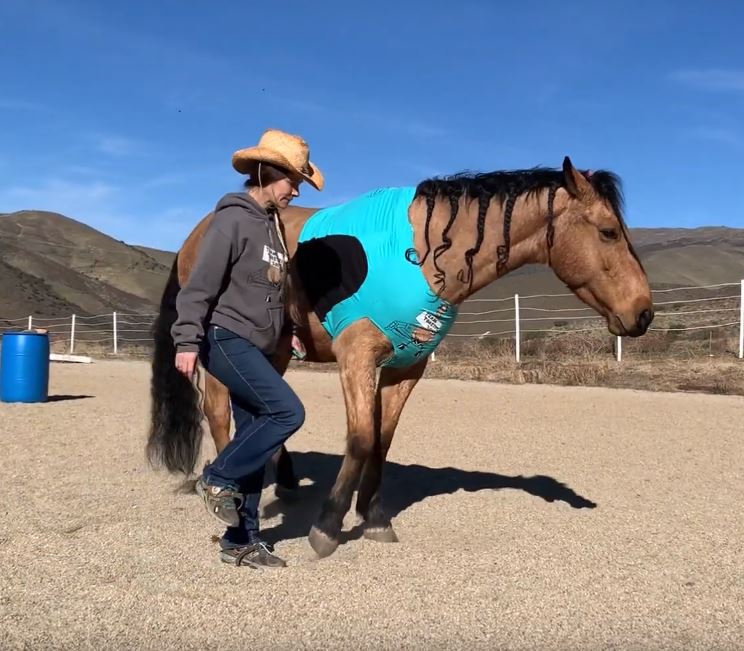 Woman And Her Horse Bring Smiles With Latest Internet Dance Challenge