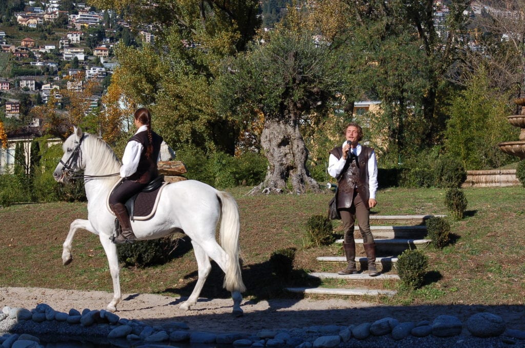 Two Horses Hilariously Nail The “Git Up” Challenge