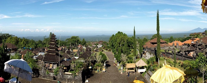 Man rescues skeletal Husky on the verge of death — his love helps her ...