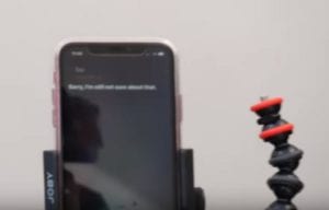 Owner can’t help laughing when Siri understands dog’s “hello”