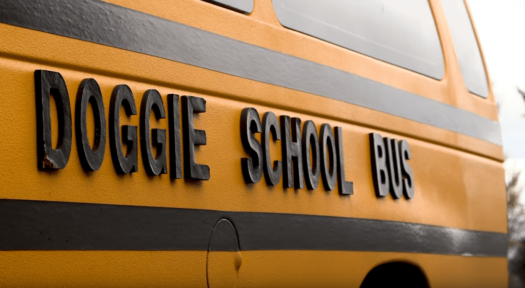 Man’s doggie school bus picks up pups for ‘school’