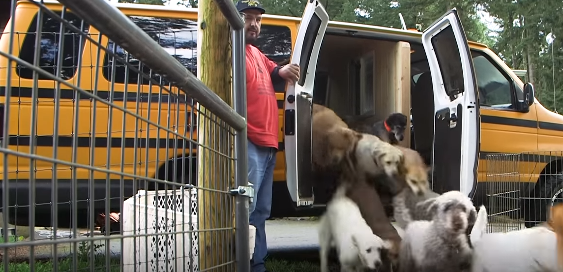 Man’s doggie school bus picks up pups for ‘school’