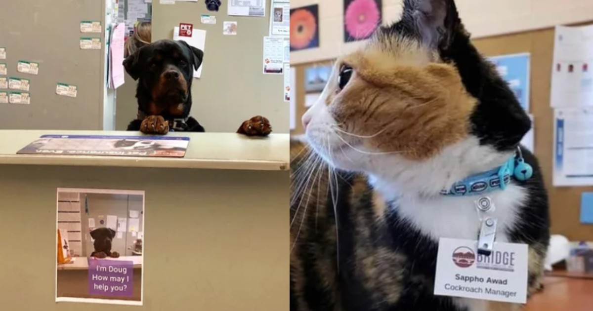 75 hardworking animals with a very important job