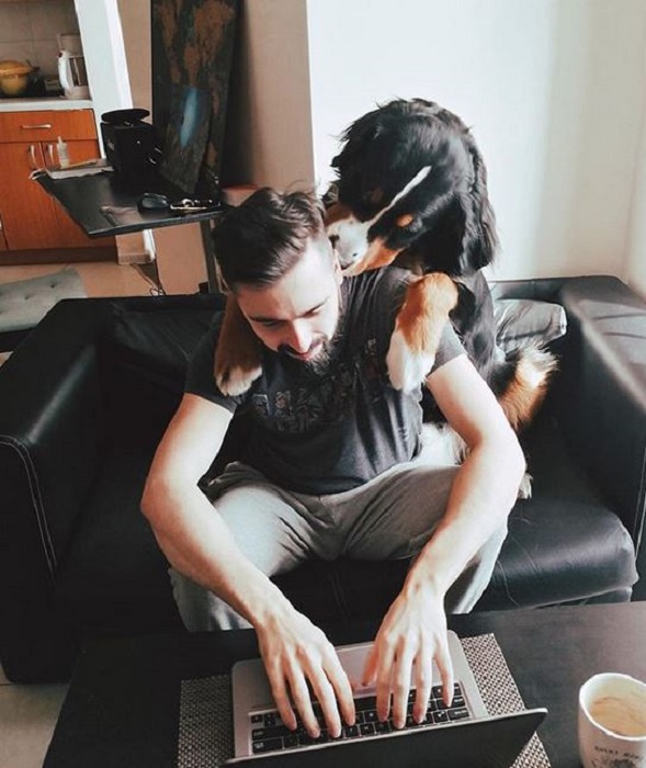 75 overjoyed pets “working from home” with their owners