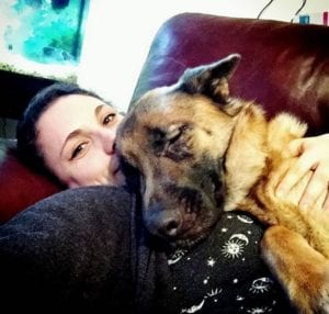 35 Reasons People Fall In Love With German Shepherds