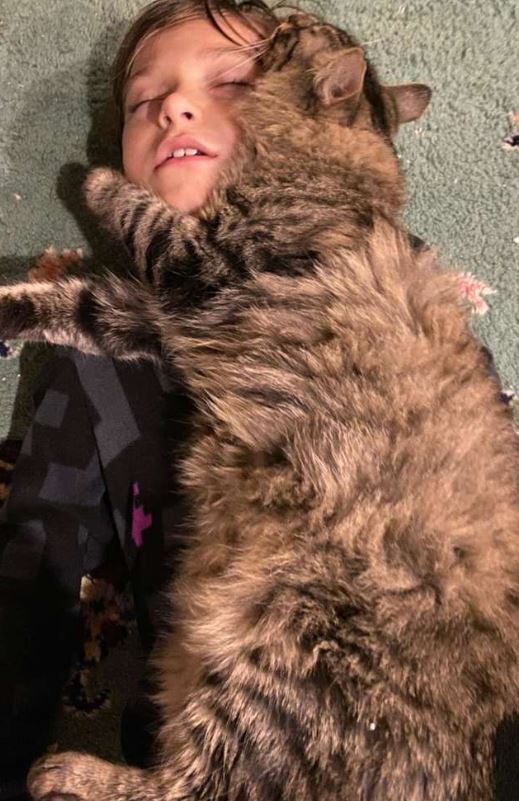 Cat can’t sleep unless he’s hugging his favorite human
