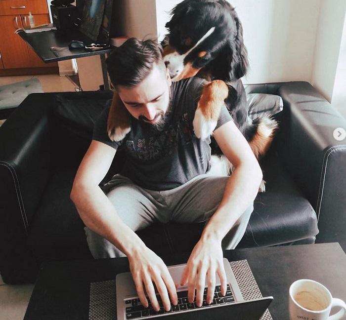 50 furry ‘co-workers’ who have made working from home hard