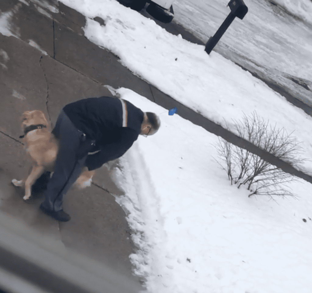 Dog waits every day to give his favorite mailman a hug