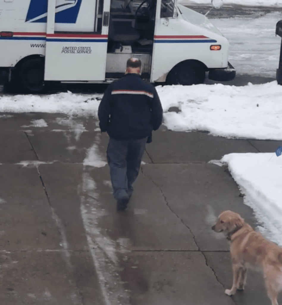 Dog waits every day to give his favorite mailman a hug