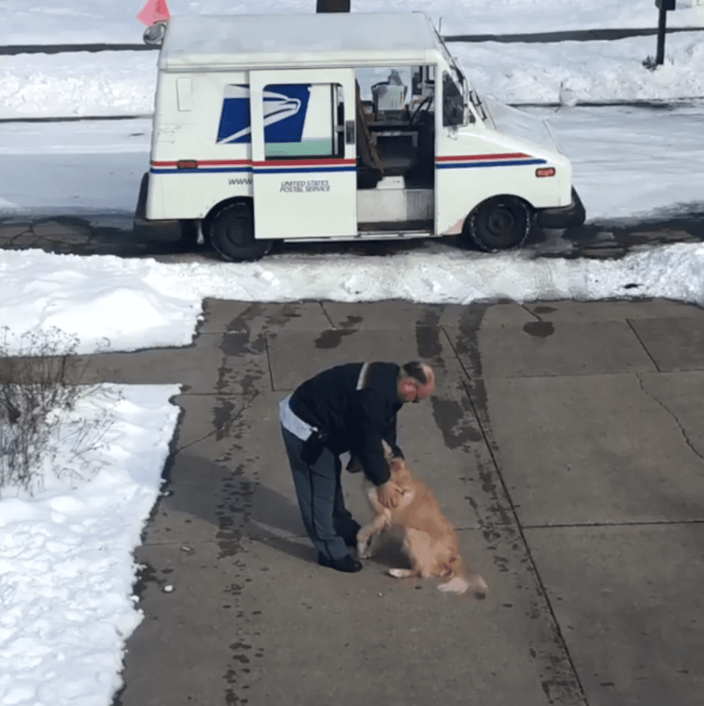 Dog waits every day to give his favorite mailman a hug