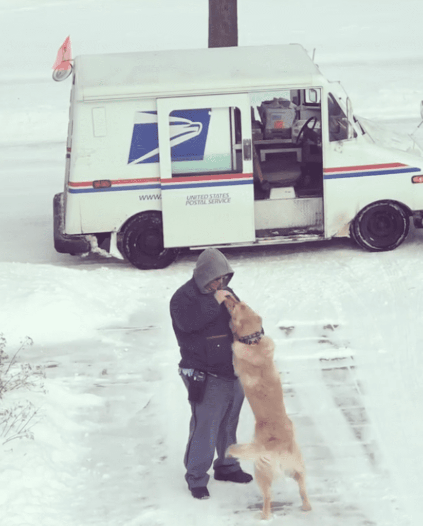 Dog waits every day to give his favorite mailman a hug