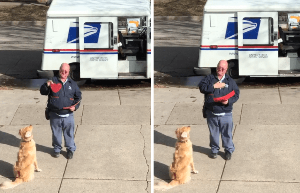 Dog waits every day to give his favorite mailman a hug