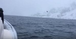 Beluga whale plays fetch with boaters