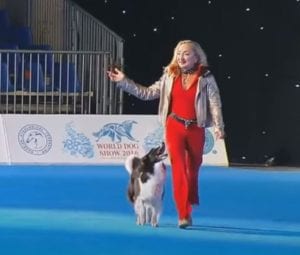 Woman And Dog Take Home Championship At World Dog Dance Competition