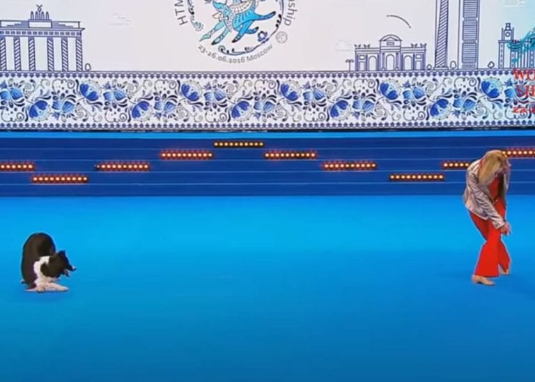 Woman And Dog Take Home Championship At World Dog Dance Competition