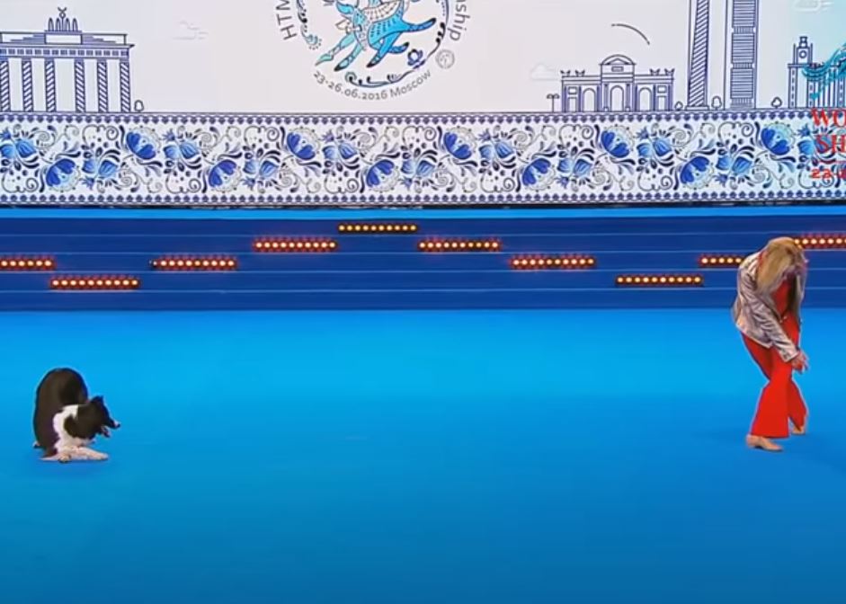 Woman And Dog Take Home Championship At World Dog Dance Competition