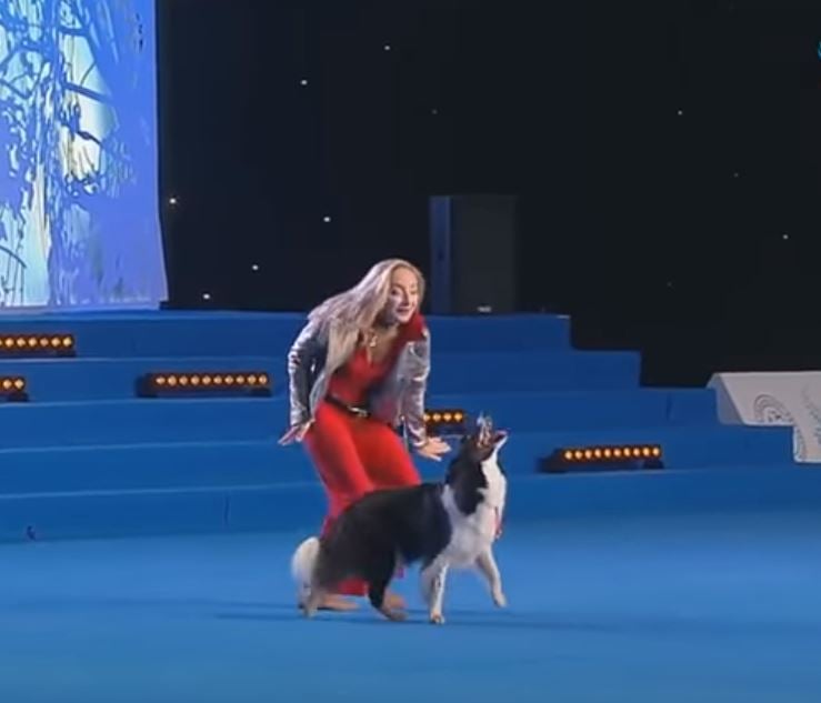 Woman And Dog Take Home Championship At World Dog Dance Competition