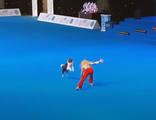 Woman And Dog Take Home Championship At World Dog Dance Competition