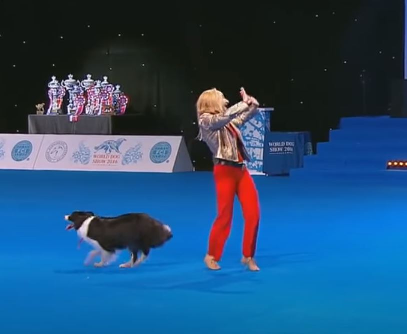 Woman And Dog Take Home Championship At World Dog Dance Competition