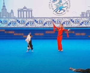 Woman And Dog Take Home Championship At World Dog Dance Competition