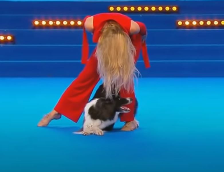 Woman And Dog Take Home Championship At World Dog Dance Competition