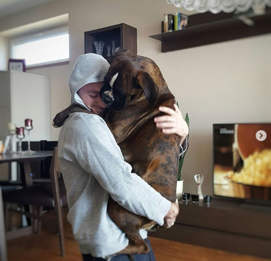 40+ Dogs Who Are Still Puppies On The Inside