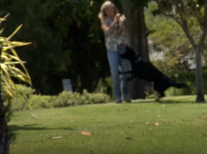 Video shows mom’s out-of-control dog completely changing with trainer